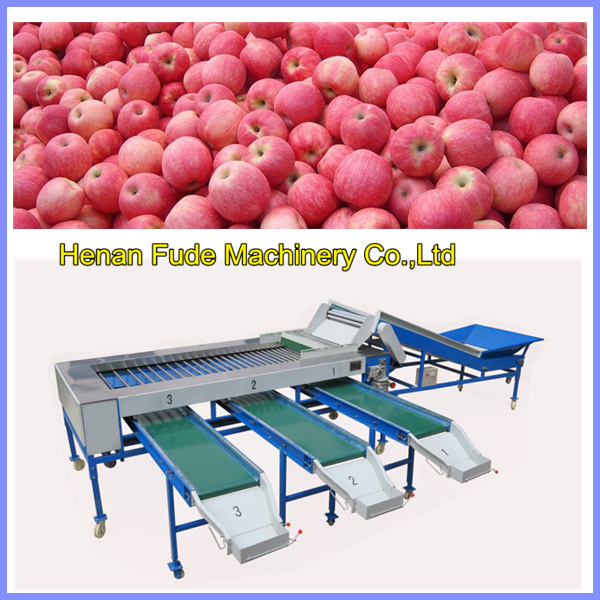 cherry tomato cleaning and sorting machine, cleaning grading machine