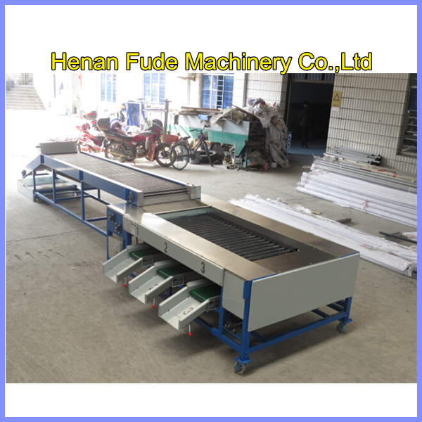 cherry tomato sorting machine, cherry tomato grading machine