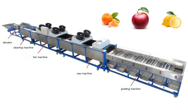 apple cleaning drying grading machine, apple sorting machine, lemon ...