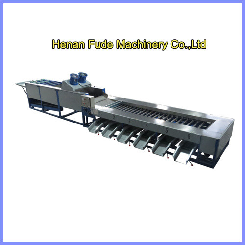 Mango cleaning and sorting machine, mango washing and grading machine