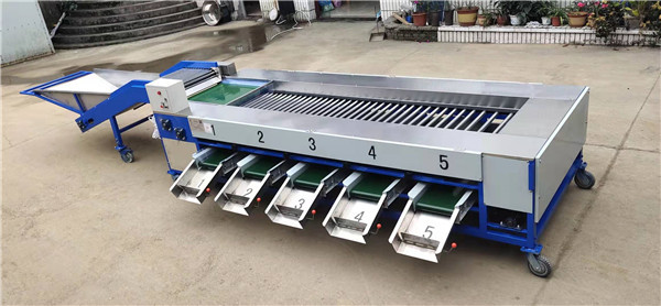 potato grading machine,potato sorting machine,potato sorter